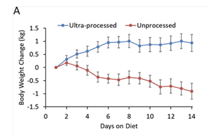 Wellbeing: The Accelerating Obesity Crisis