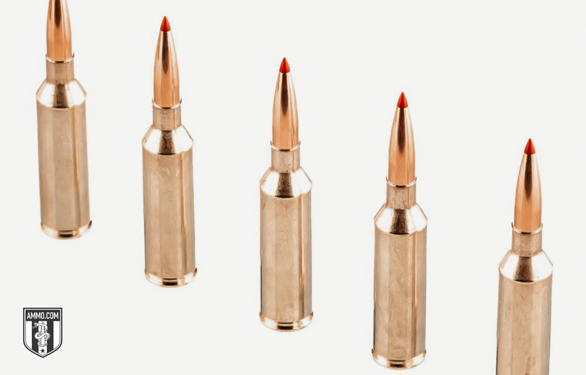 7mm PRC vs. 300 Win Mag: Which Is The Long-Distance Dominator?