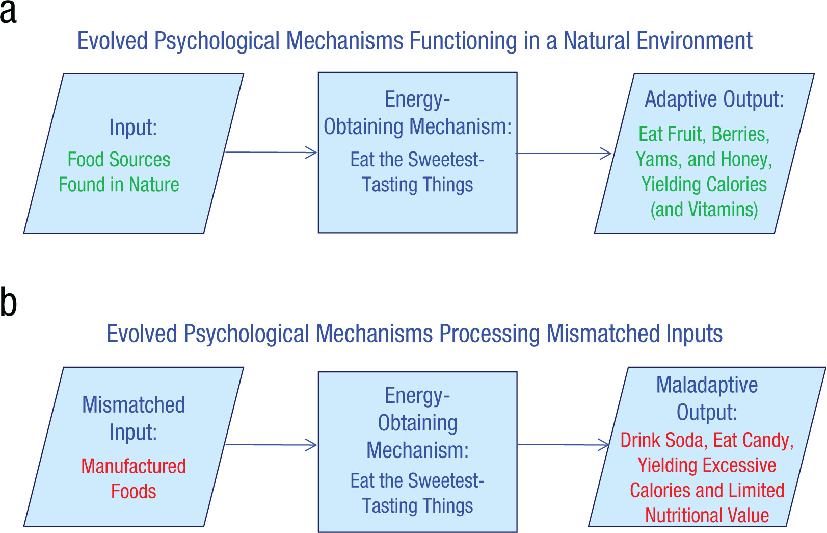 12 Things Everyone Should Know About Evolutionary Psychology
