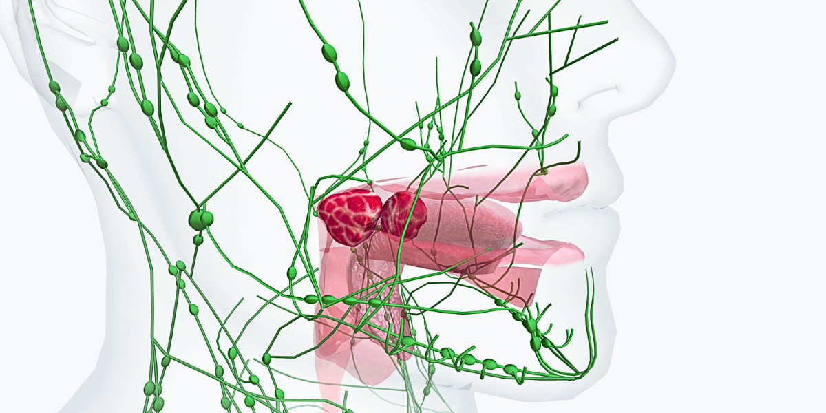 Hidden Functions: The Surprising Role of “Useless” Organs - Science ...