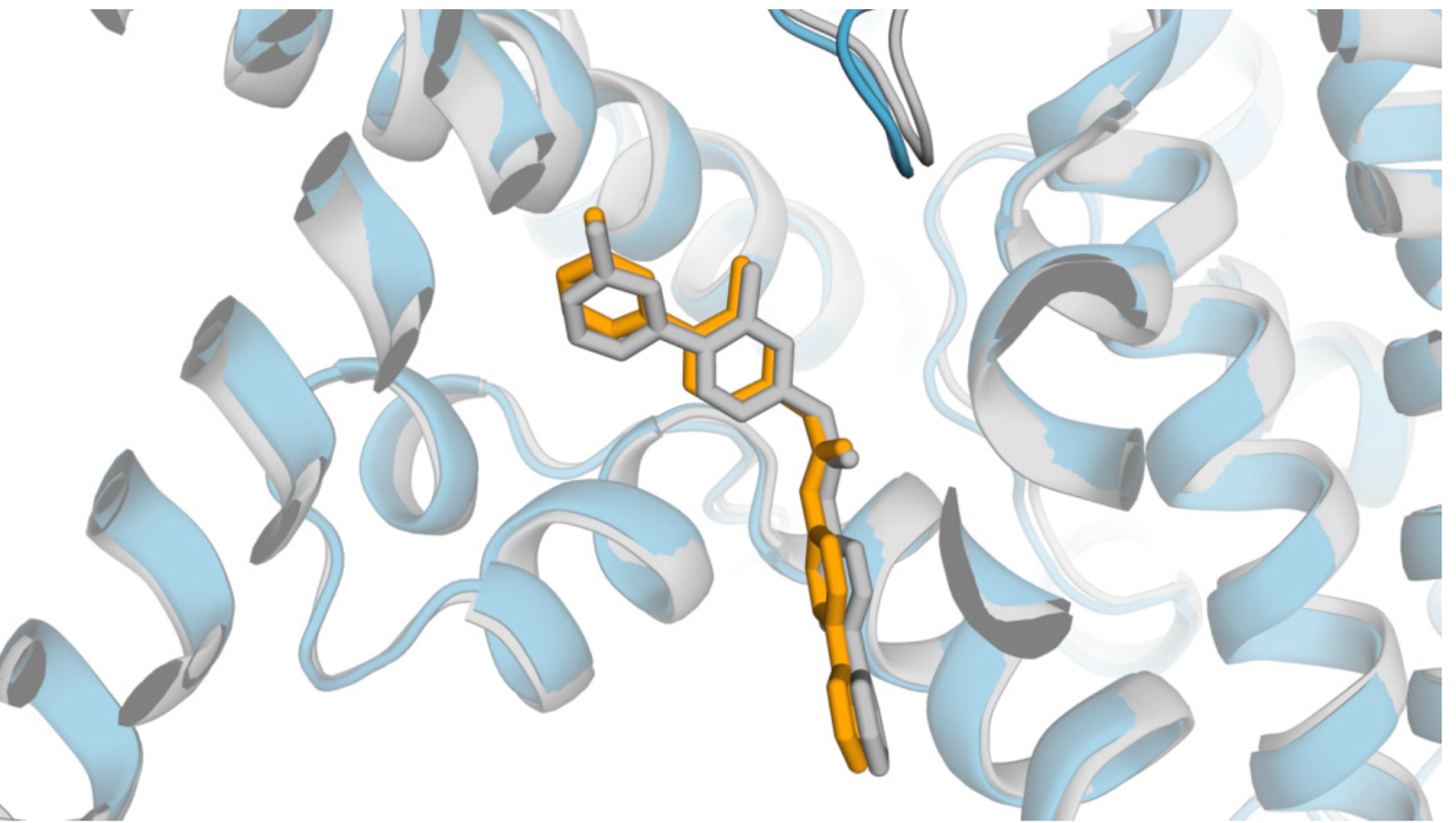 AlphaFold3: A foundation model for biology (?)