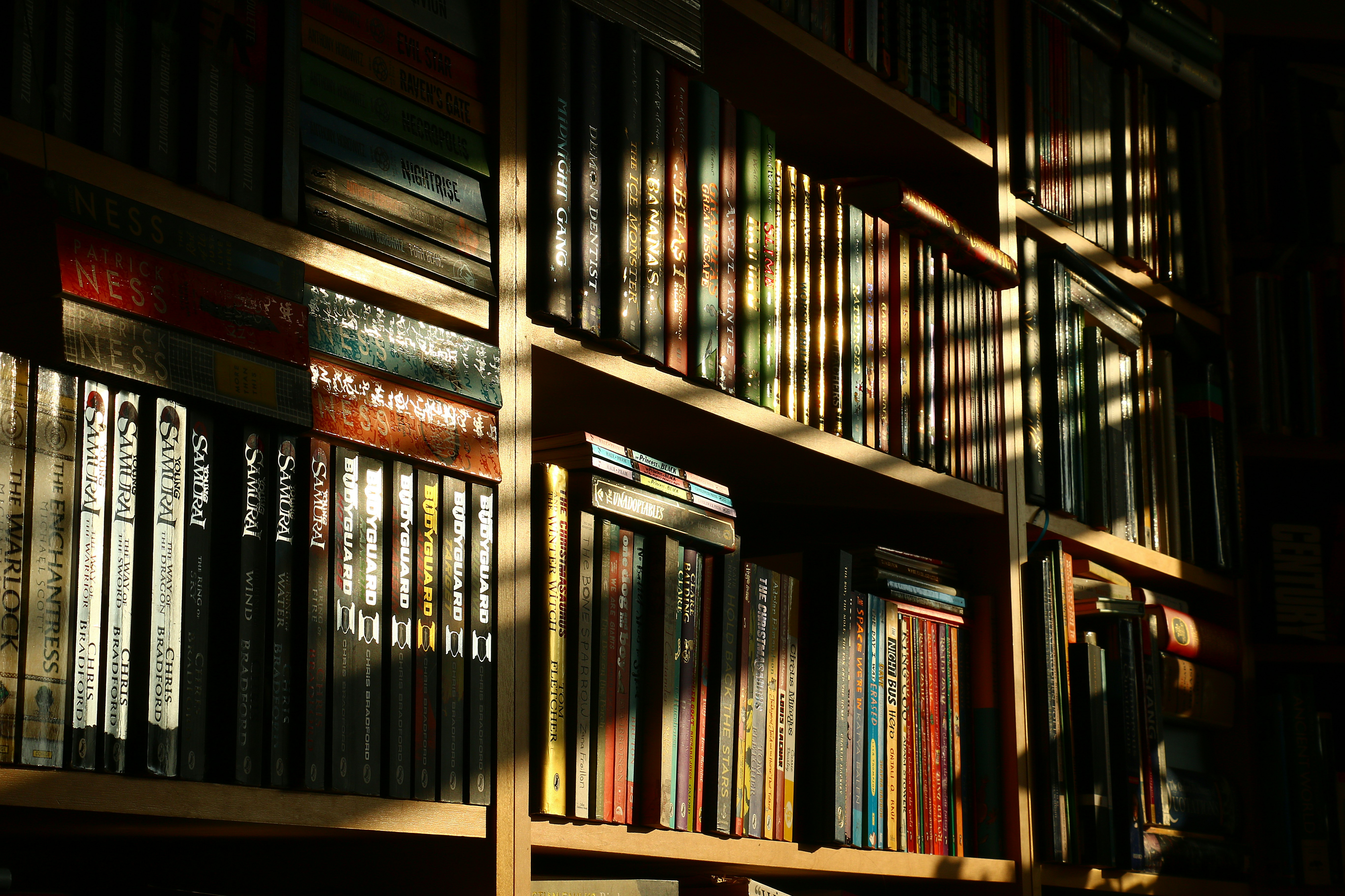 When Fiction Affects Our Reality - by Stephen Mburu