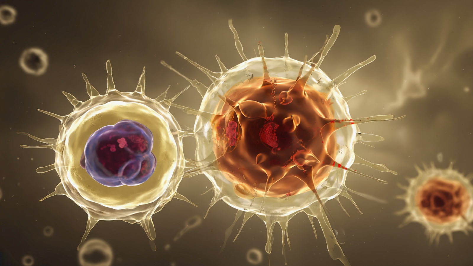 Natural Killer Cells: Biology, Function, and Modern Therapeutic ...