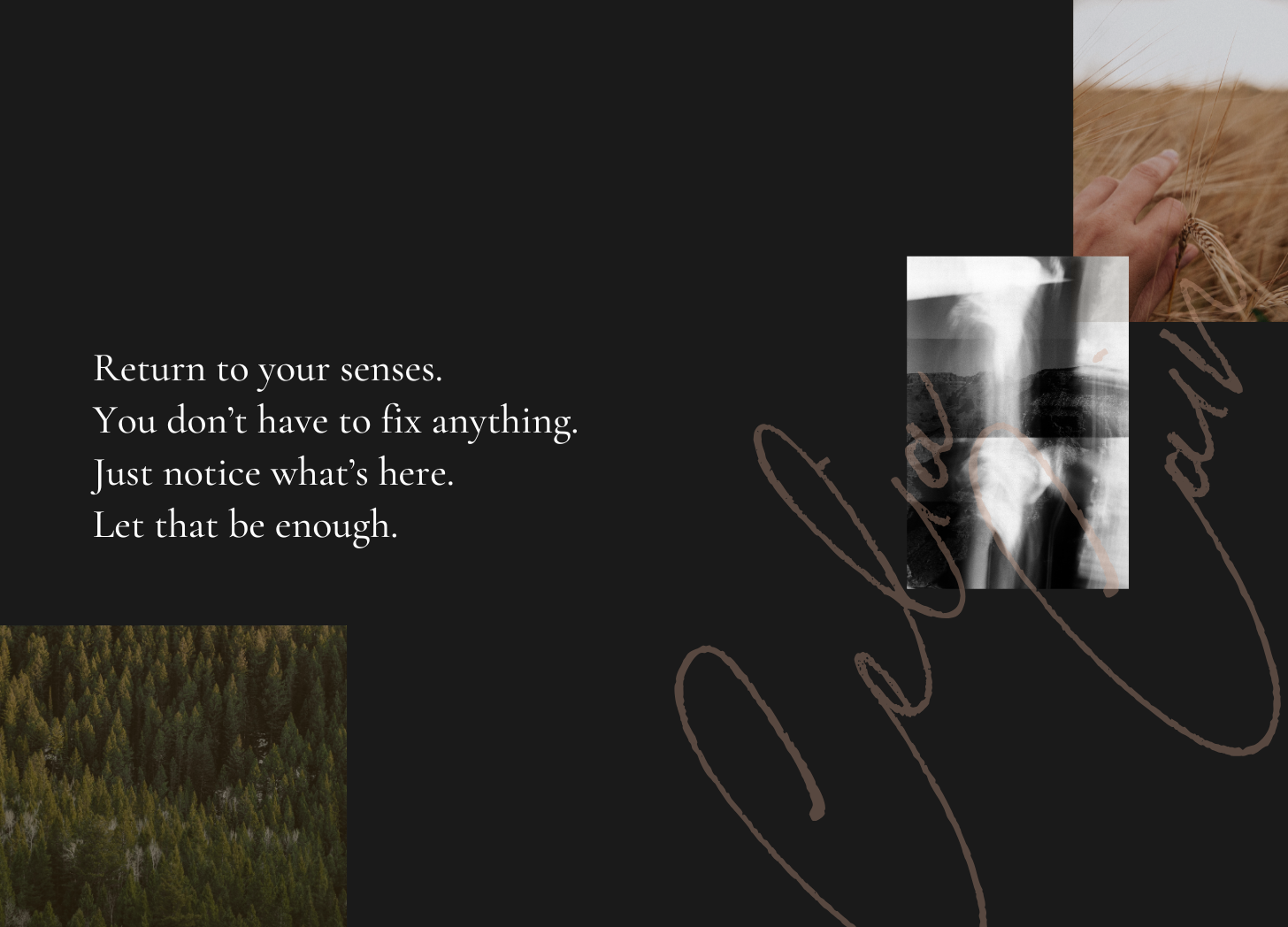 Return to Your Senses - by Celia Cain, PhD