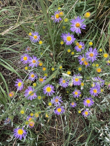 History of Michaelmas: Who is St. Michael? - by Bill Petro