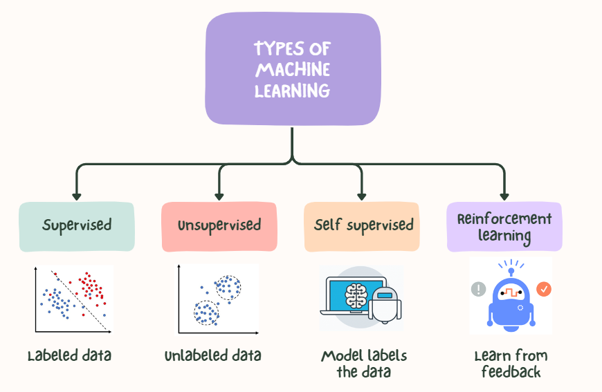 Top 8 Machine Learning Algorithms: Everything You Need to Know