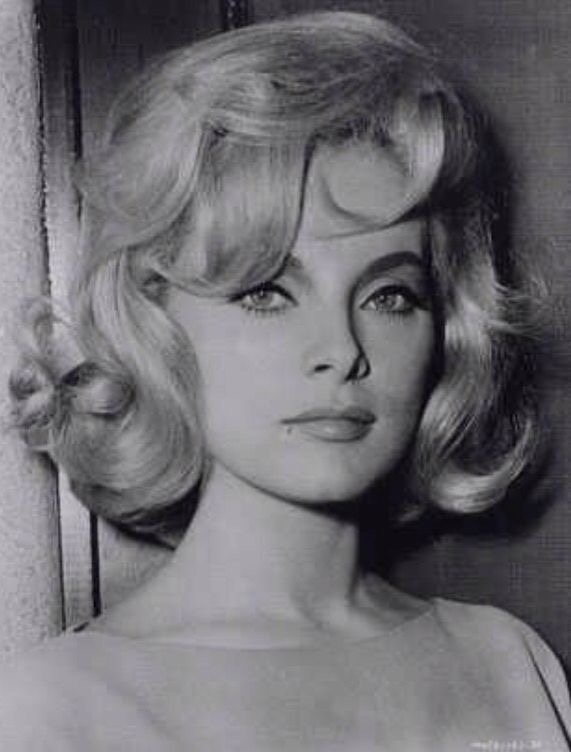 Nicole Elsasser on Substack: "I am worried I might look too much like a NORMAL LADY to pull this ...