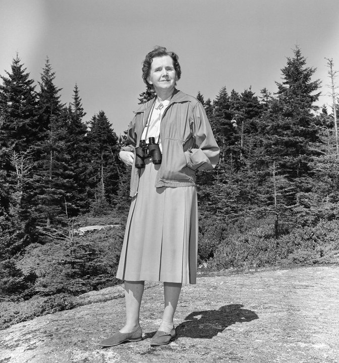 Rachel Carson: The Catalyst of the Modern Environmental Movement