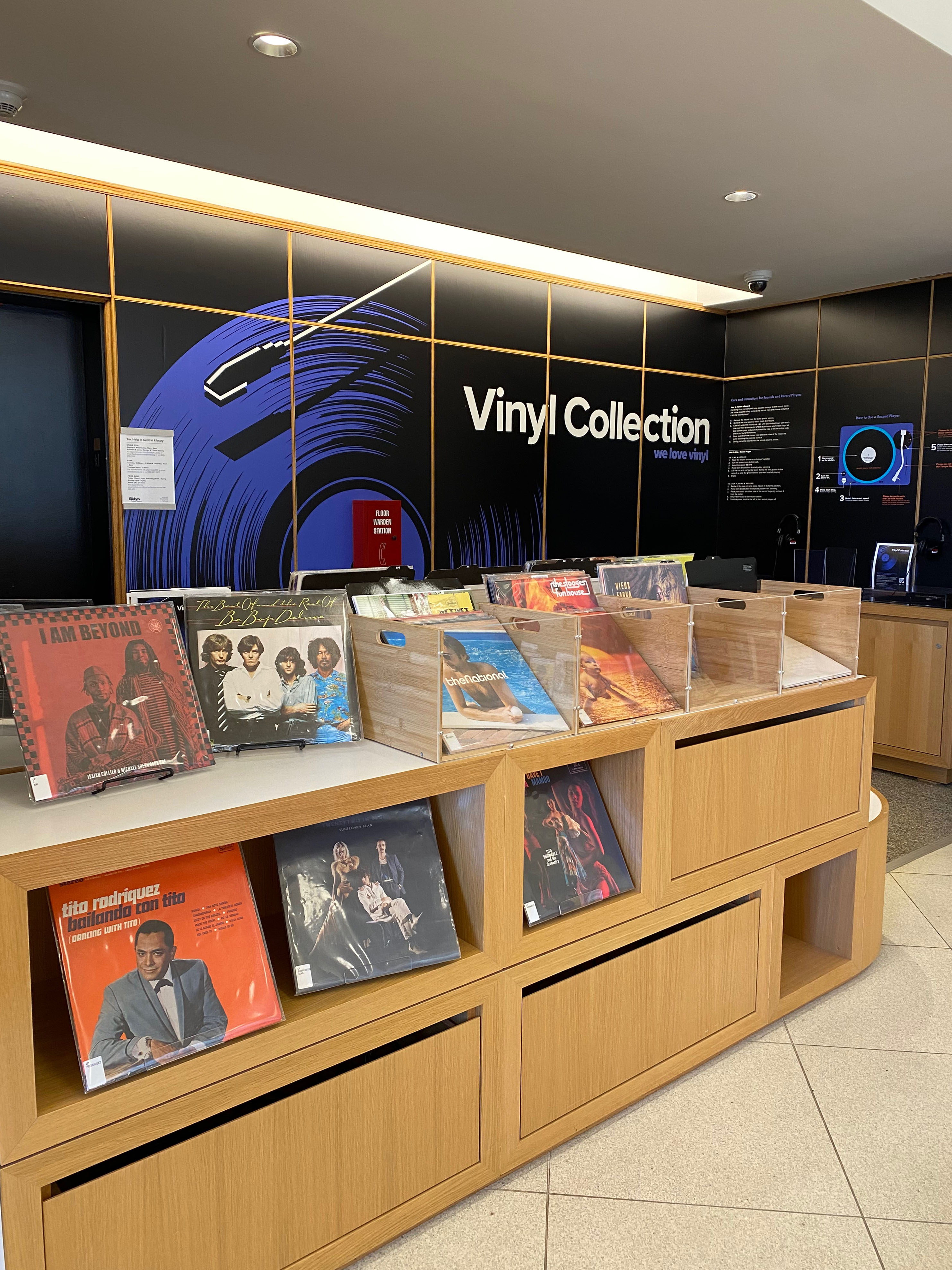 The Future of Vinyl Libraries - by Rachel Cabitt