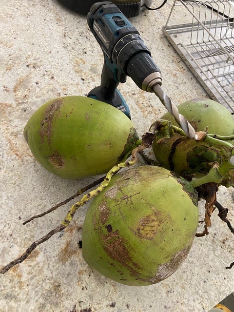 Coke, Pepsi, Evian, Fiji Water, Coconut Water & a Steak under the ...