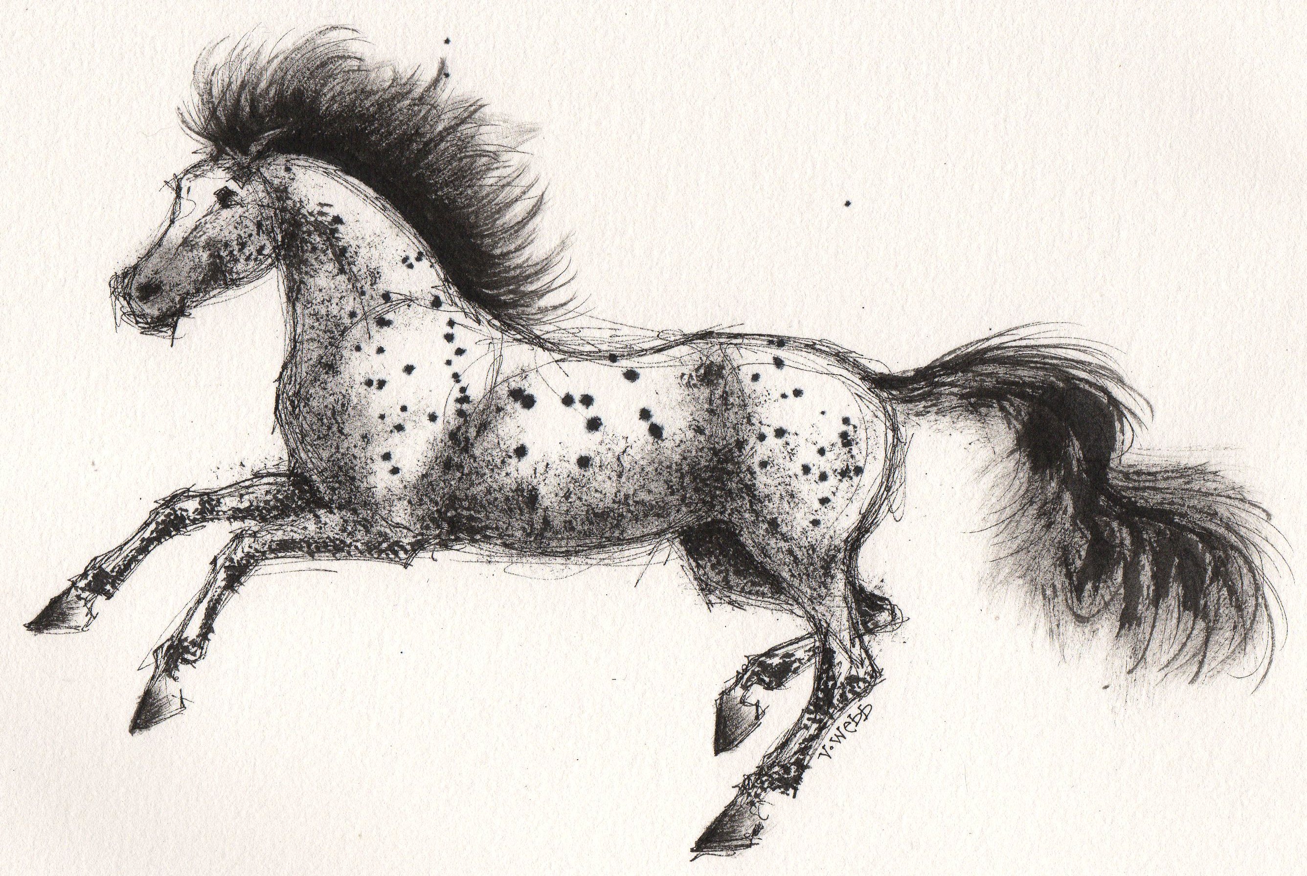 Draw Horses and Ponies - by Val Webb - 32 Art Courses