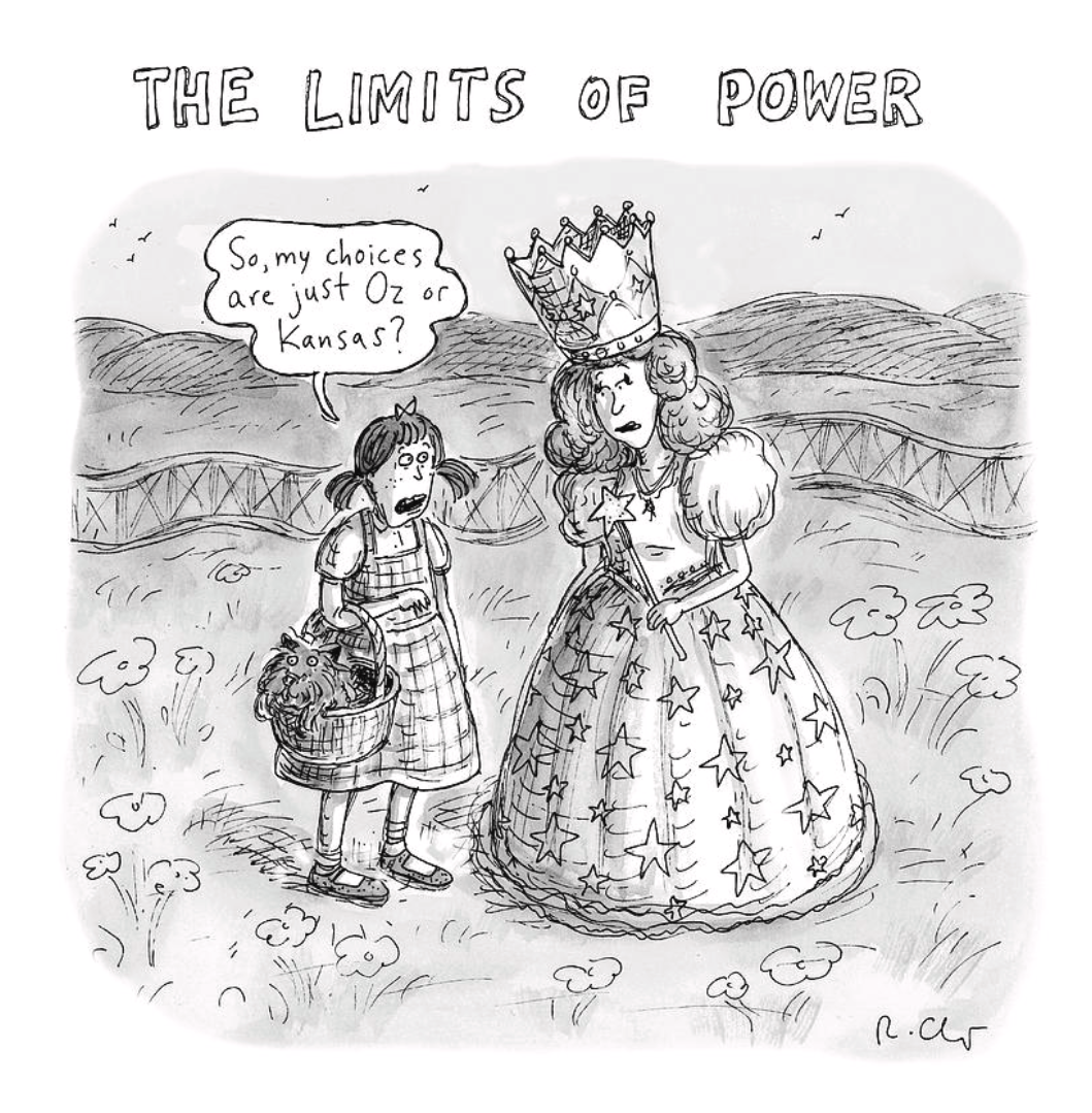 The Cartoons Of Roz Chast - by Liza Donnelly