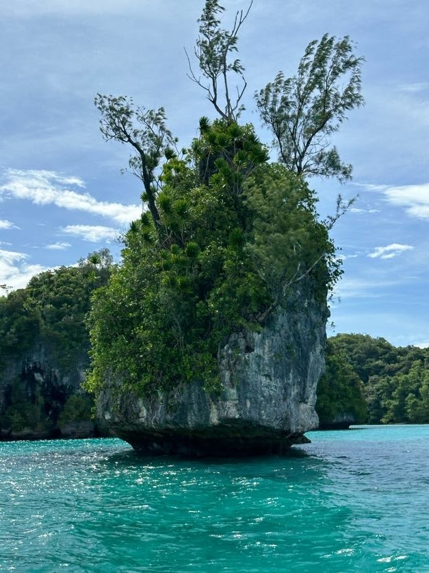 T88UM (PJ77) Palau is. - EA8DBM