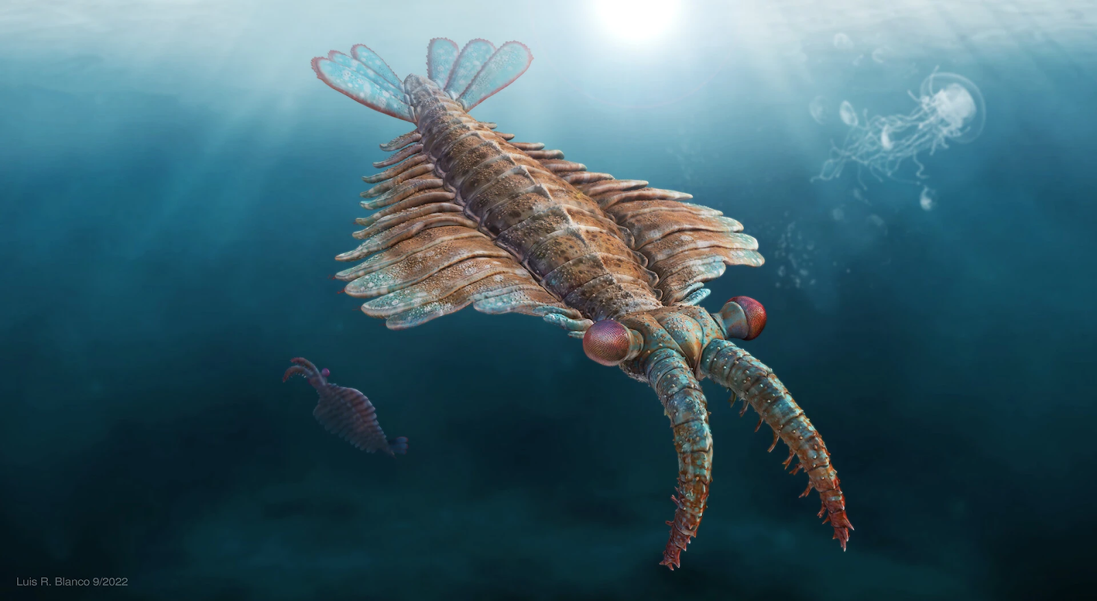 Anomalocaris: The first ever animal to hunt animals
