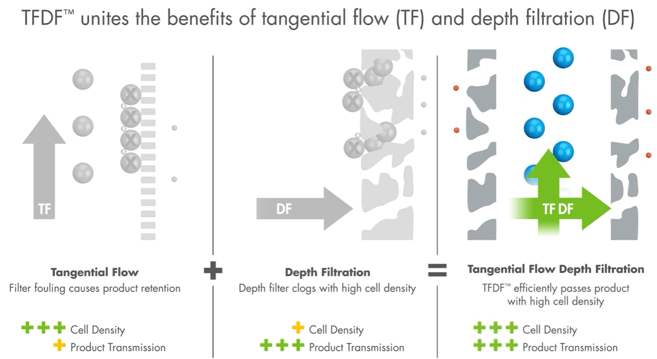 The Borlaug Report #8: Repligen - The Borlaug Report