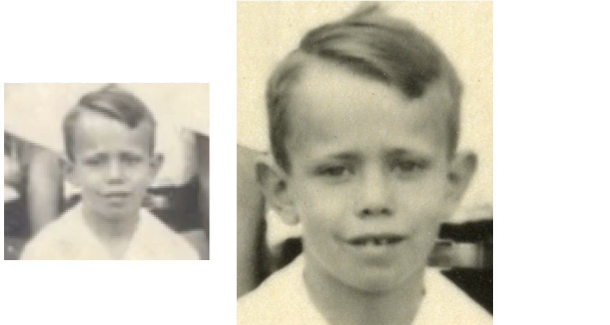 Misère de la Brigitologie - by Laurent Guyénot - Kosmotheos