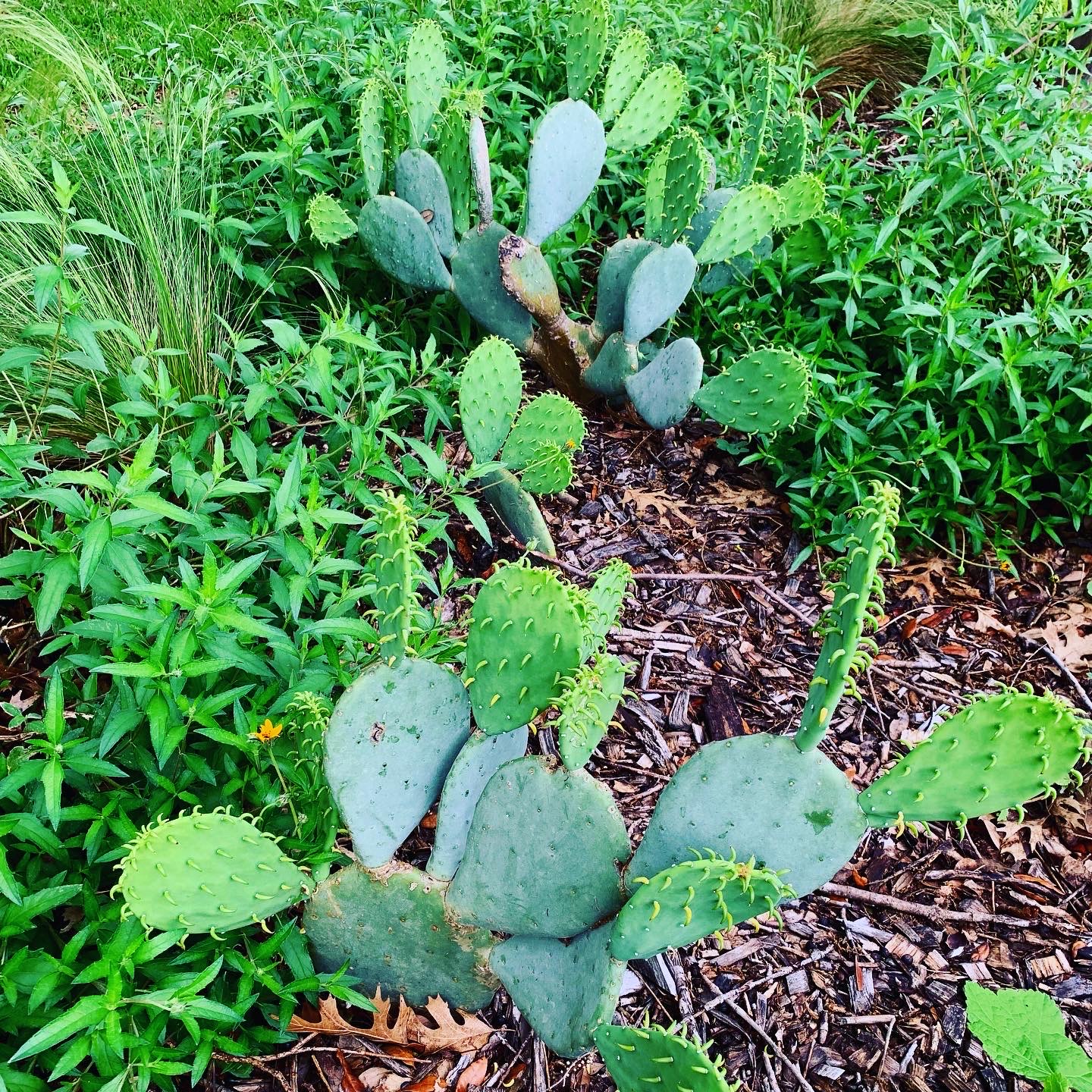 The thing that sticks out - Austin Kleon