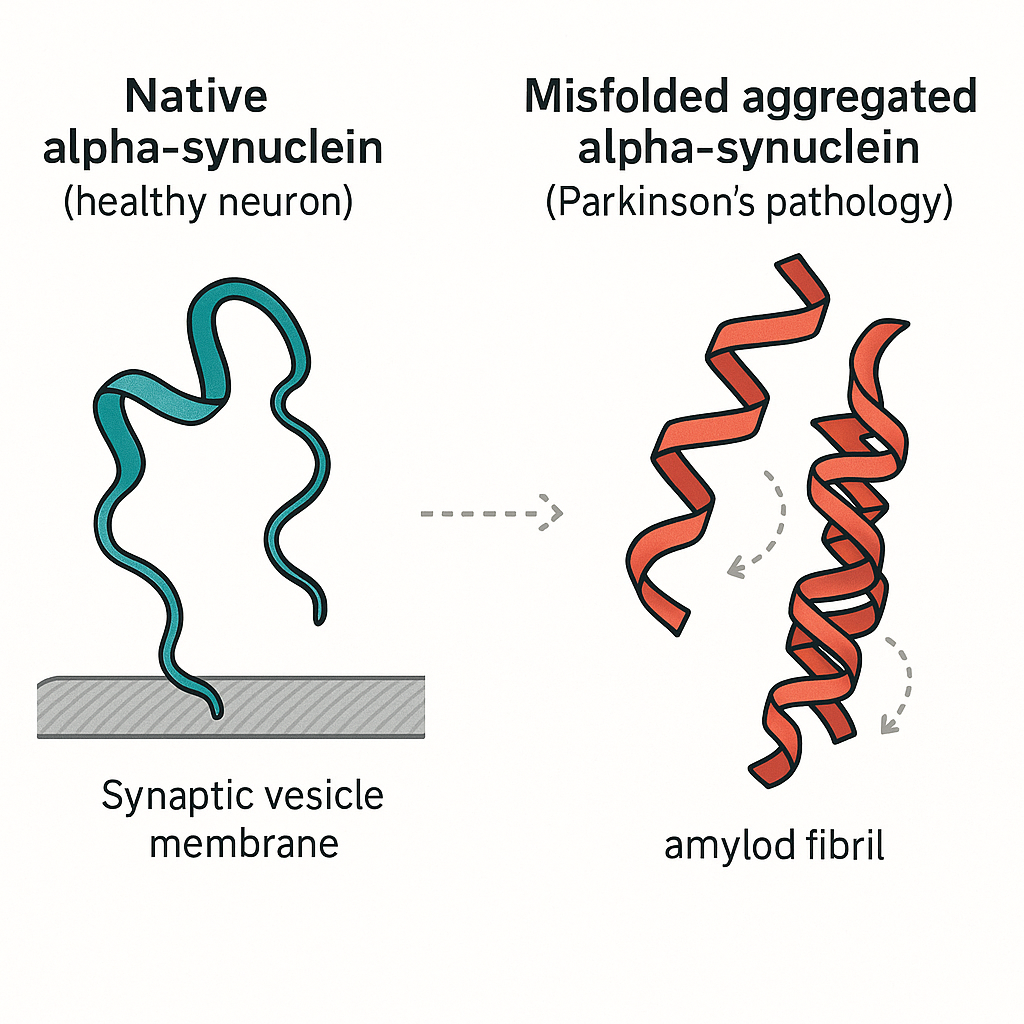 The Protein Folding Problem - by Janu Verma