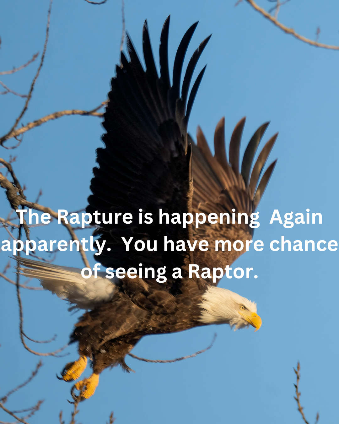 The Rapture. Again. - Sons of Liberty