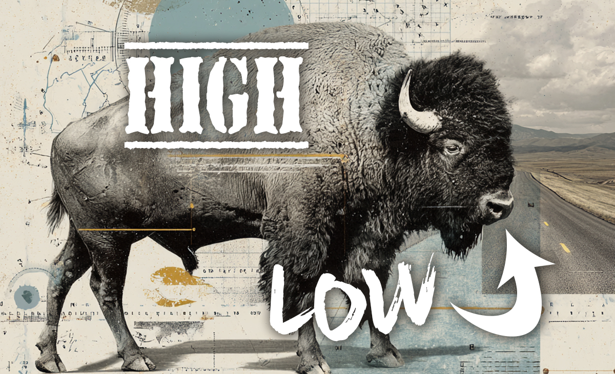 High Low Buffalo - by A. Paul Myers - Faux Souvenirs