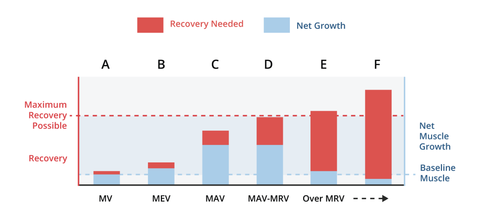 A comprehensive guide to hypertrophy