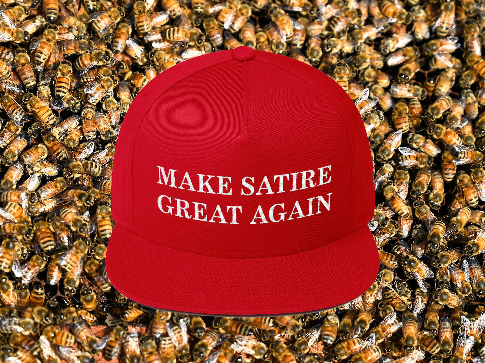 What Happened to the Babylon Bee? - by Jim Swift