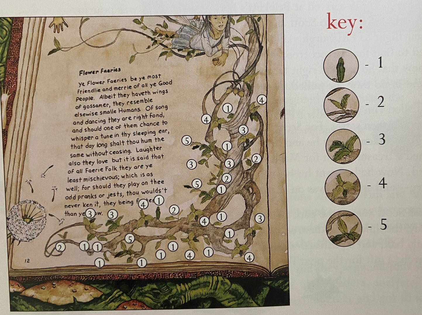 New Clue Found! in Beyond the Map's Edge Book Cover, Estes Quest #3 ...