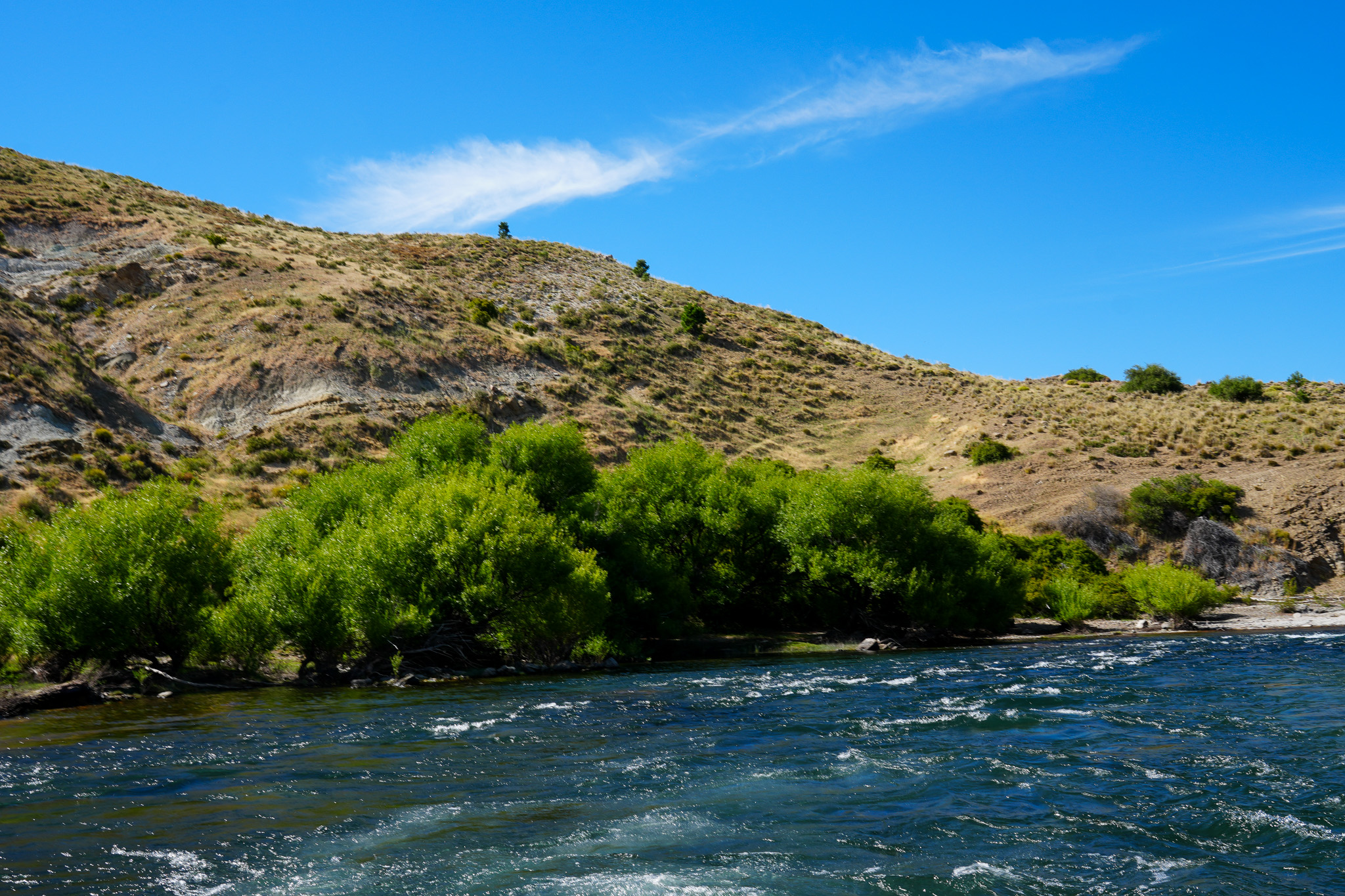 Patagonia on a Summer's Day - by Michael Williams