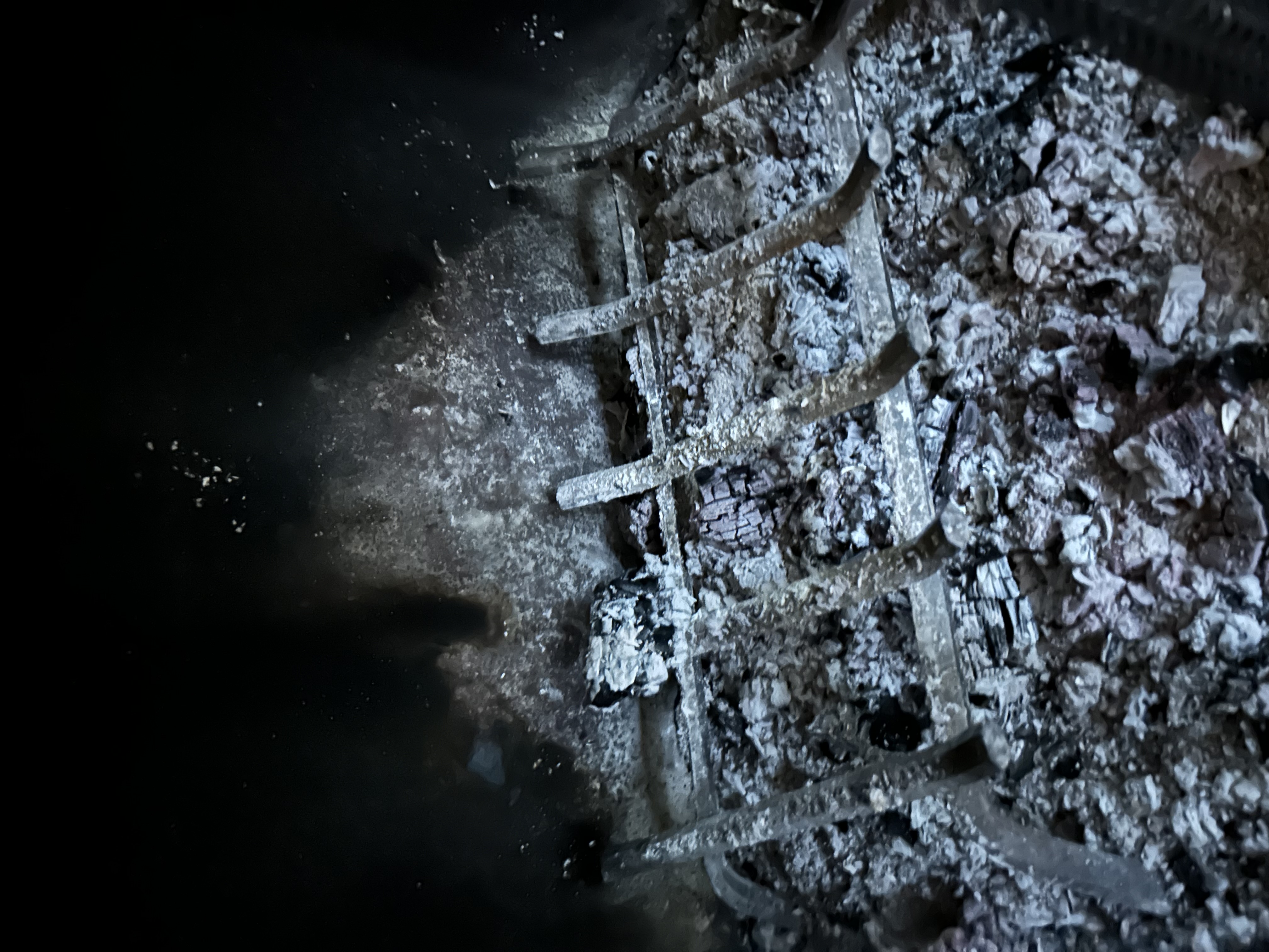 Haiku 21 - April 21, 2025 - Liz Garton Scanlon