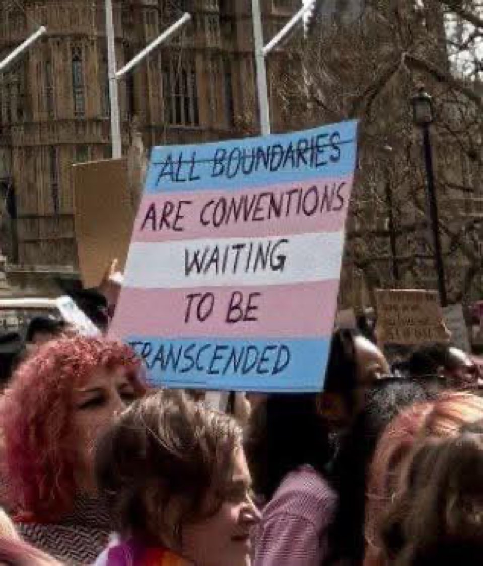 Trans Culture Is Rape Culture - by Zoe Cairns