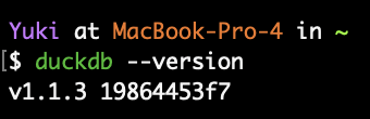 DuckDB - Quick and Easy Data Processing with CLI and Python