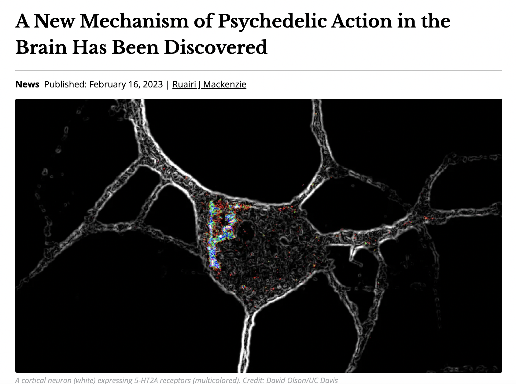 Psychedelics, neuroplasticity, and intracellular 5HT2A receptors...