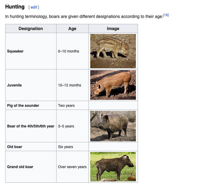 Why did medieval people invent so many collective nouns?