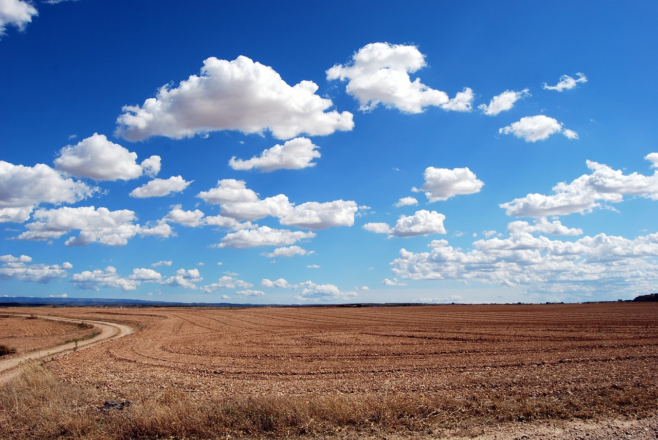 What Land Back Really Means - and Why People Keep Getting It Wrong