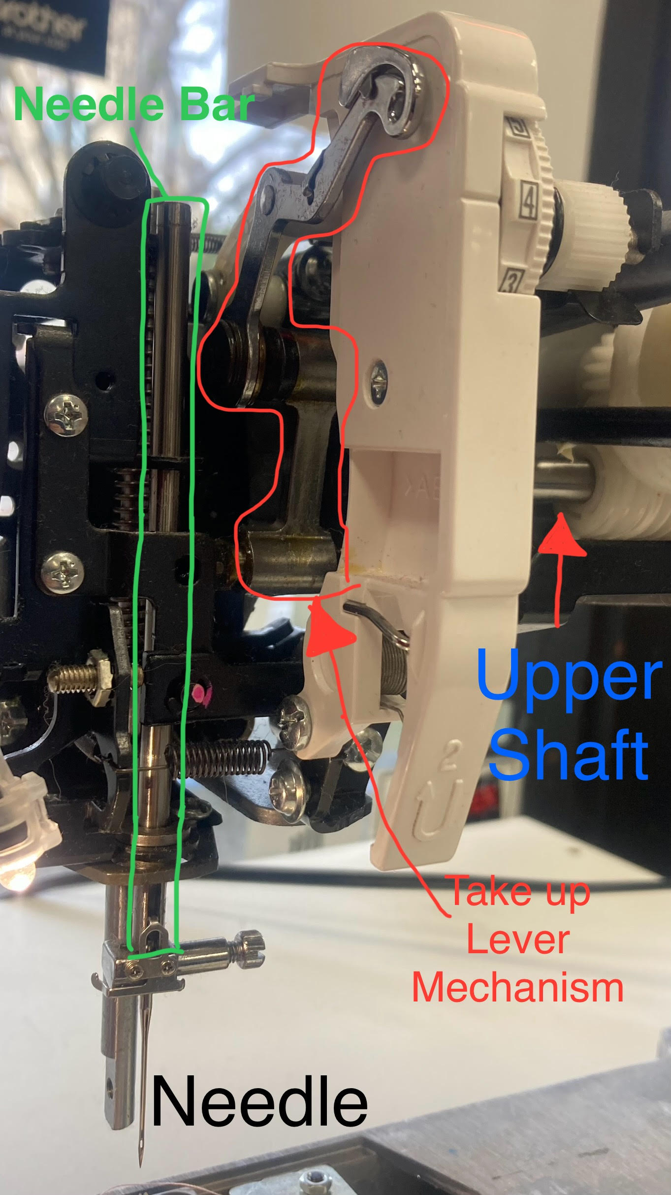 Sewing Machine Bones - The Sewing Machine Shop