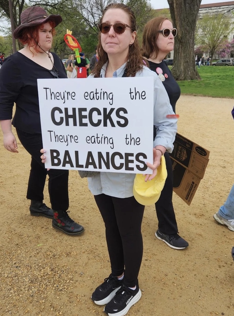 Top 15 Signs at Hands Off Protests - by Ron Filipkowski