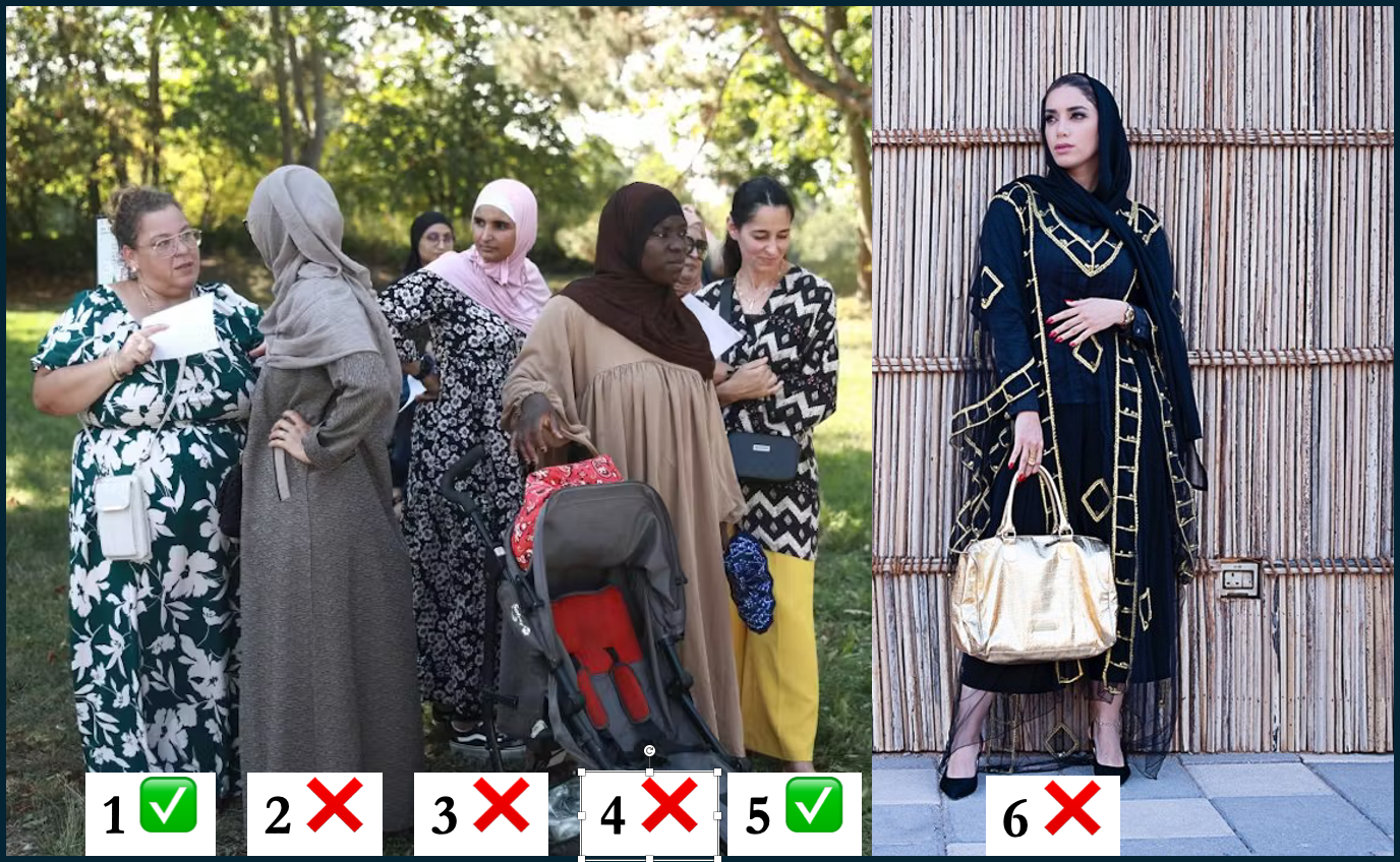 French ban of the burqa: the human rights debate