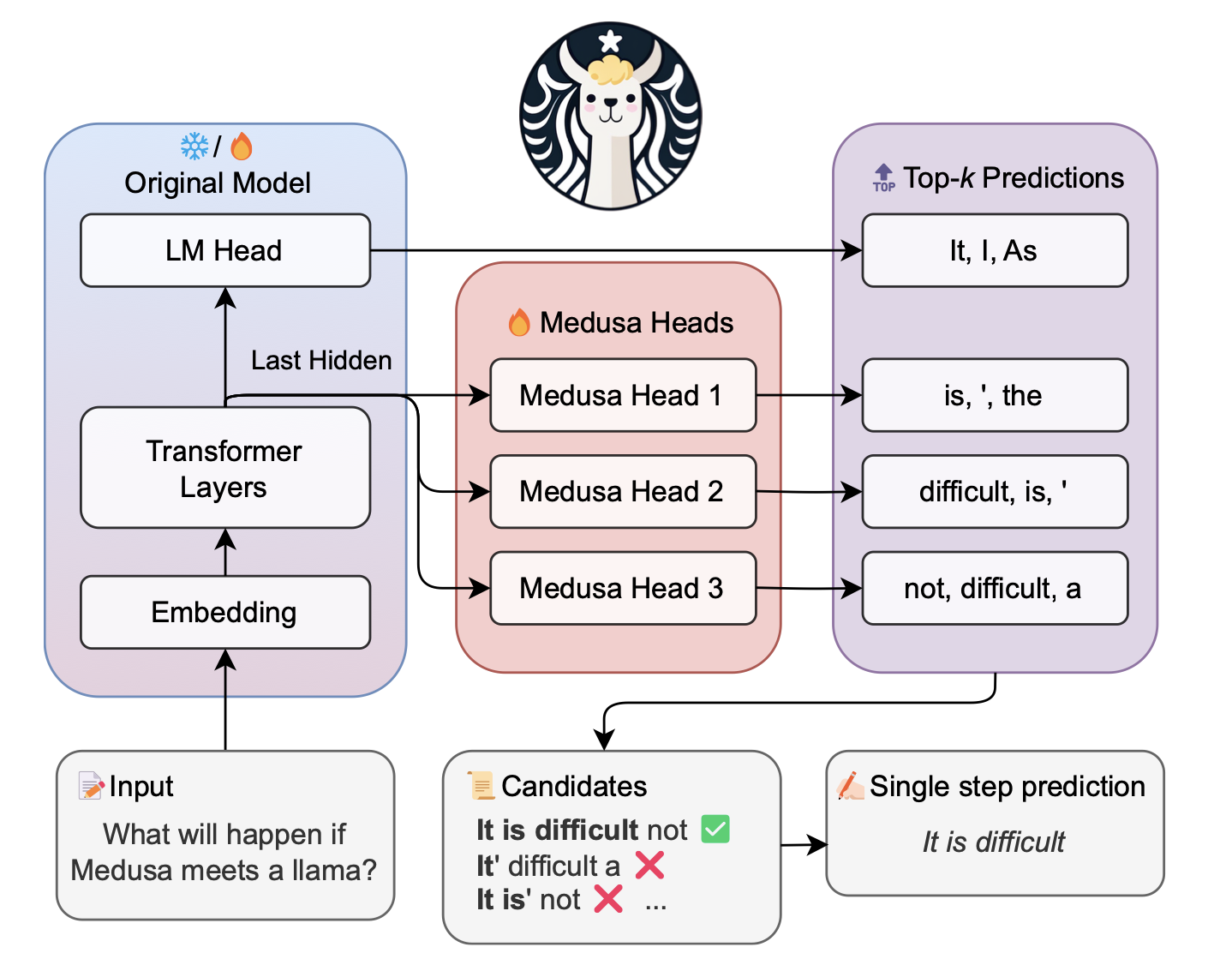 Medusa: Multiple Decoding Heads for Faster LLM Inference