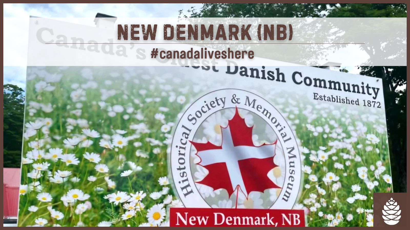 Craig Rourke 🇨🇦 on Substack: "#canadaliveshere 1 🇨🇦 community of 3457 featured as a thread each ...