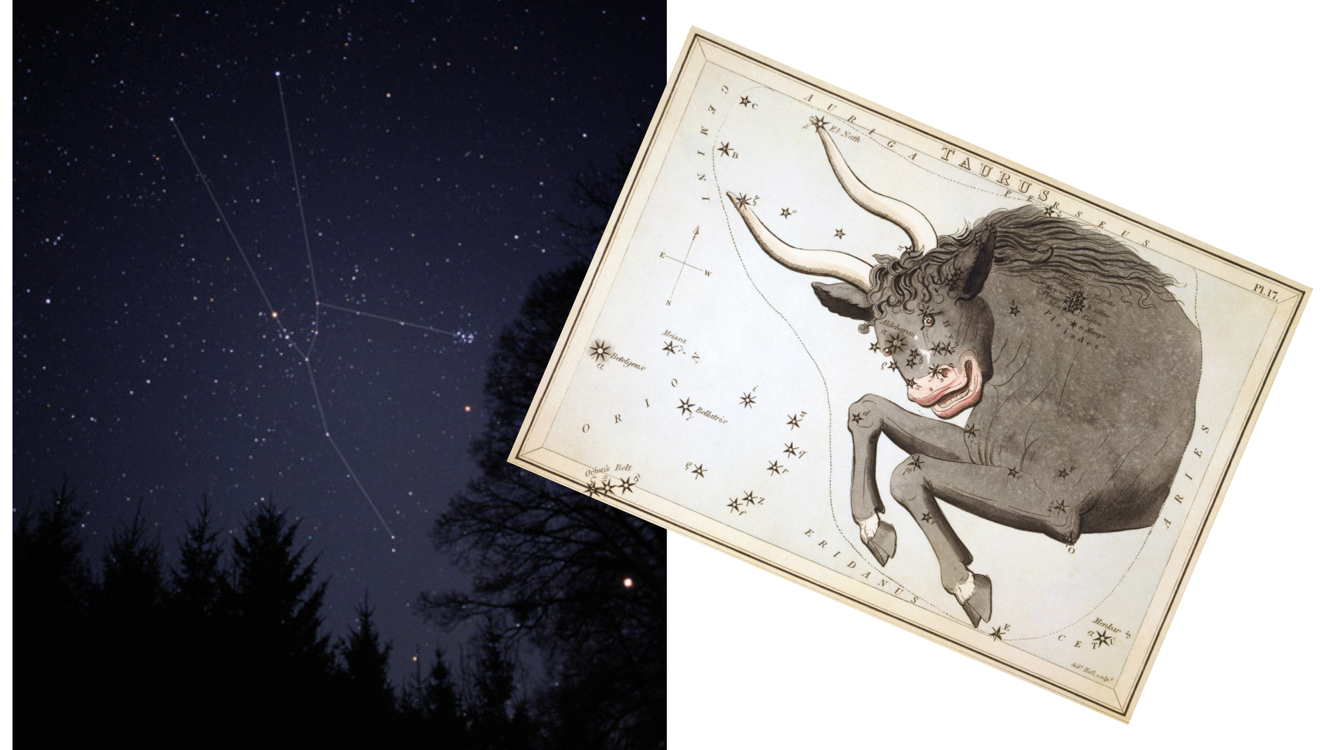 Big Bull Energy: An astronavigation guide for Taurus activations in ...