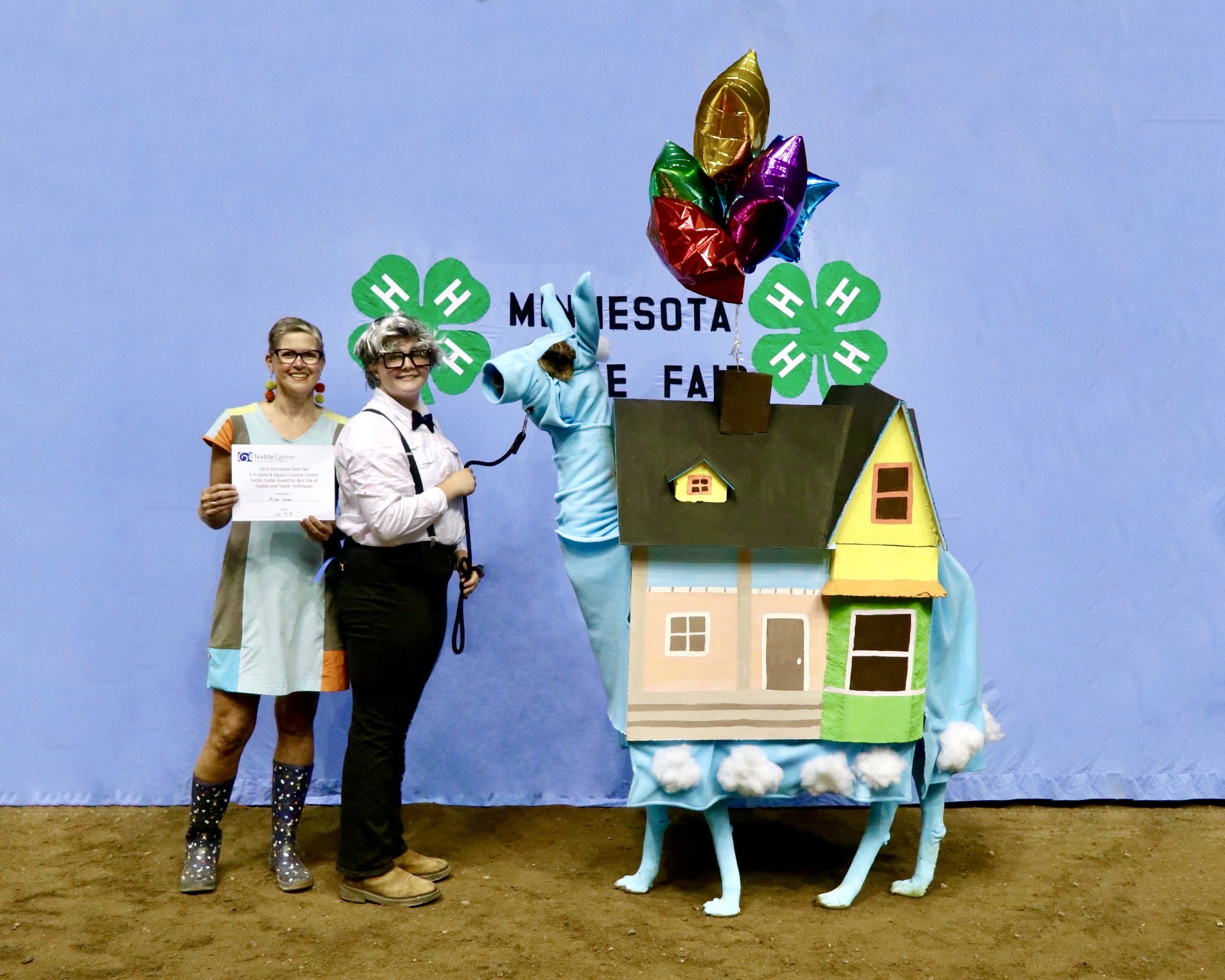 Textile Center rewards creativity at the Minnesota State Fair Llama ...
