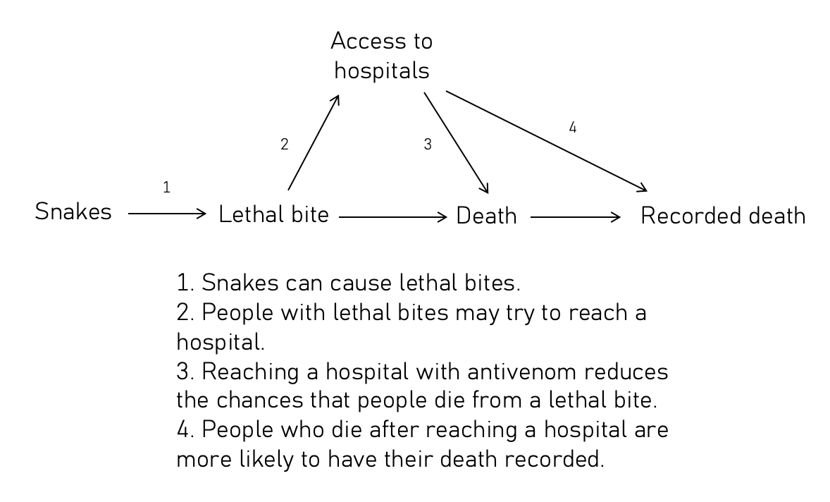 #14: How many people die from snakebites?