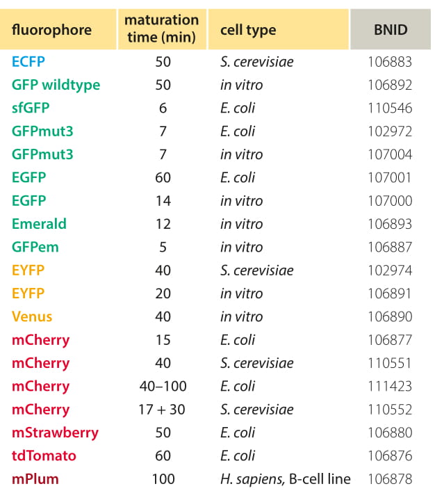 A primer on GFP and esmGFP - by Abhishaike Mahajan
