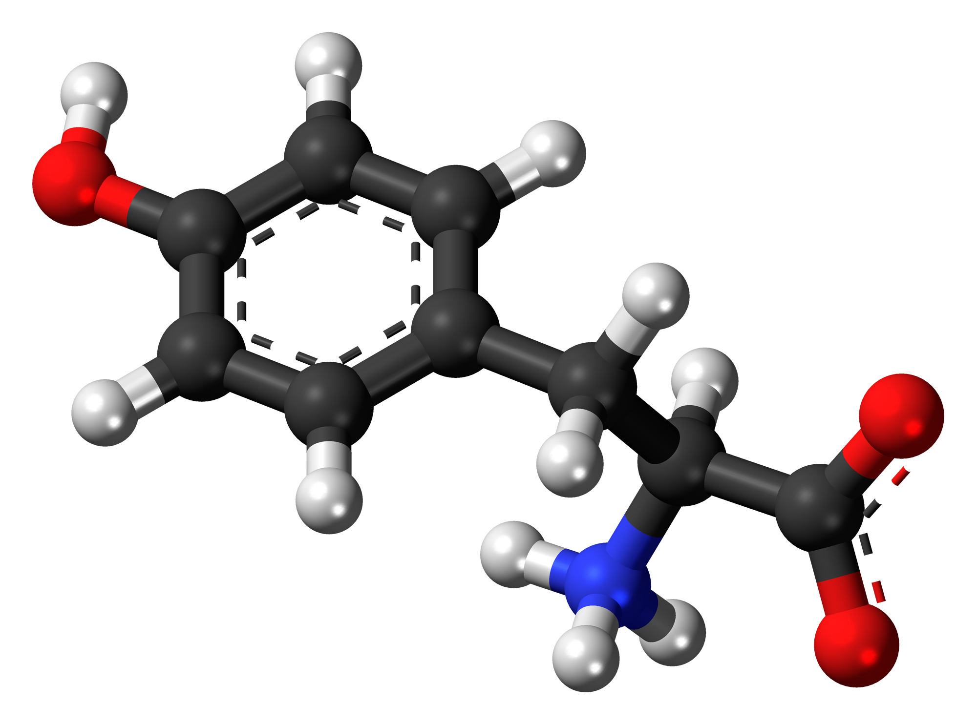 L-Tyrosine and ADHD: What Science Says About This Amino Acid