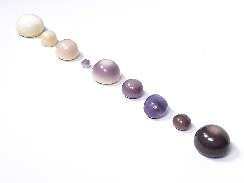 The ancient history of pearls - by Hannah - Archaeolog