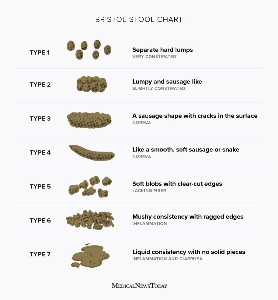 What “Normal” Poop Actually Looks Like (Bristol Stool Scale Explained)