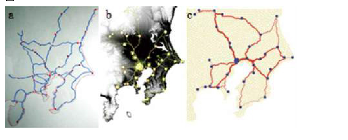 Brainless Genius: Slime Molds and the Tokyo Railway System