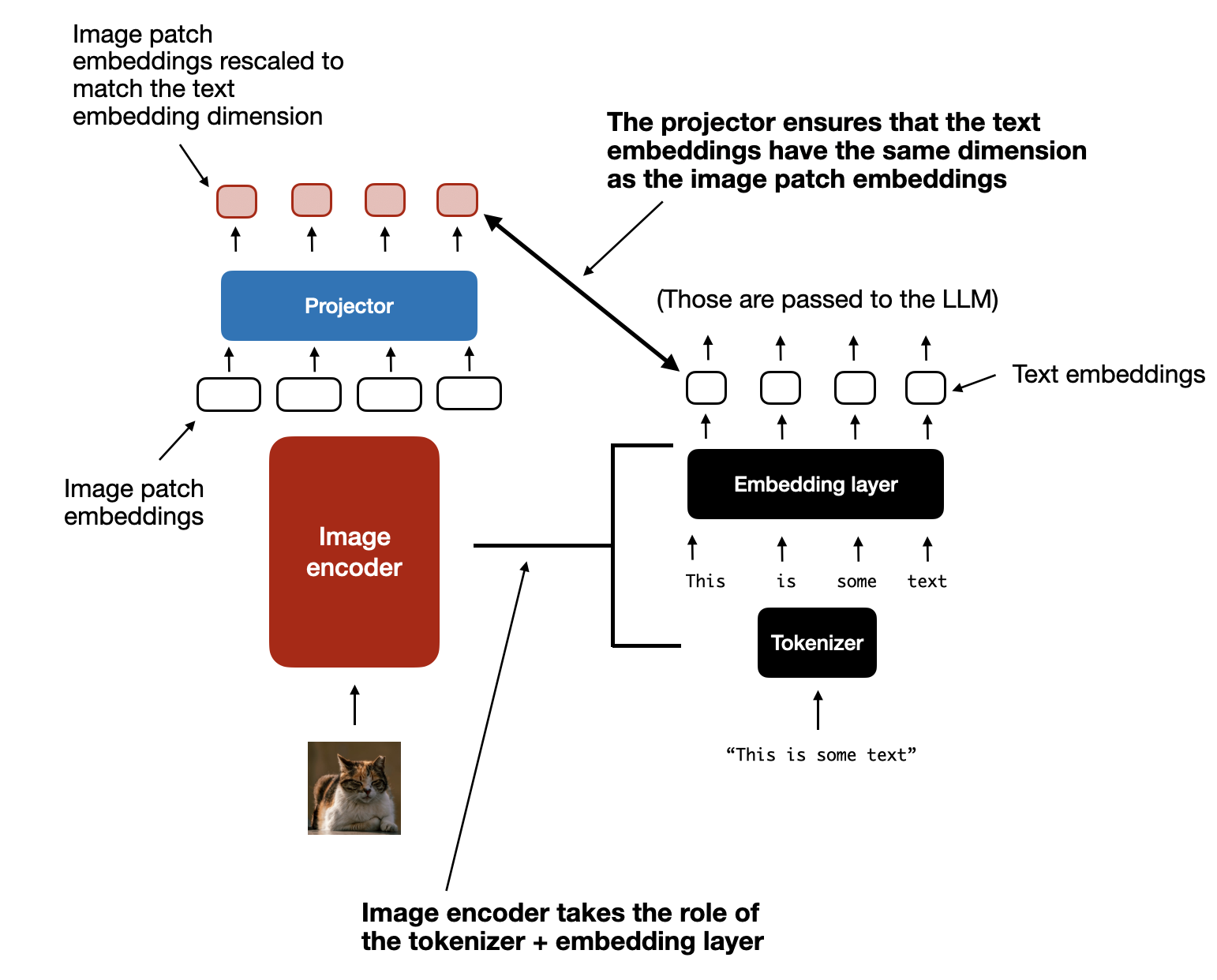 Understanding Multimodal LLMs - by Sebastian Raschka, PhD