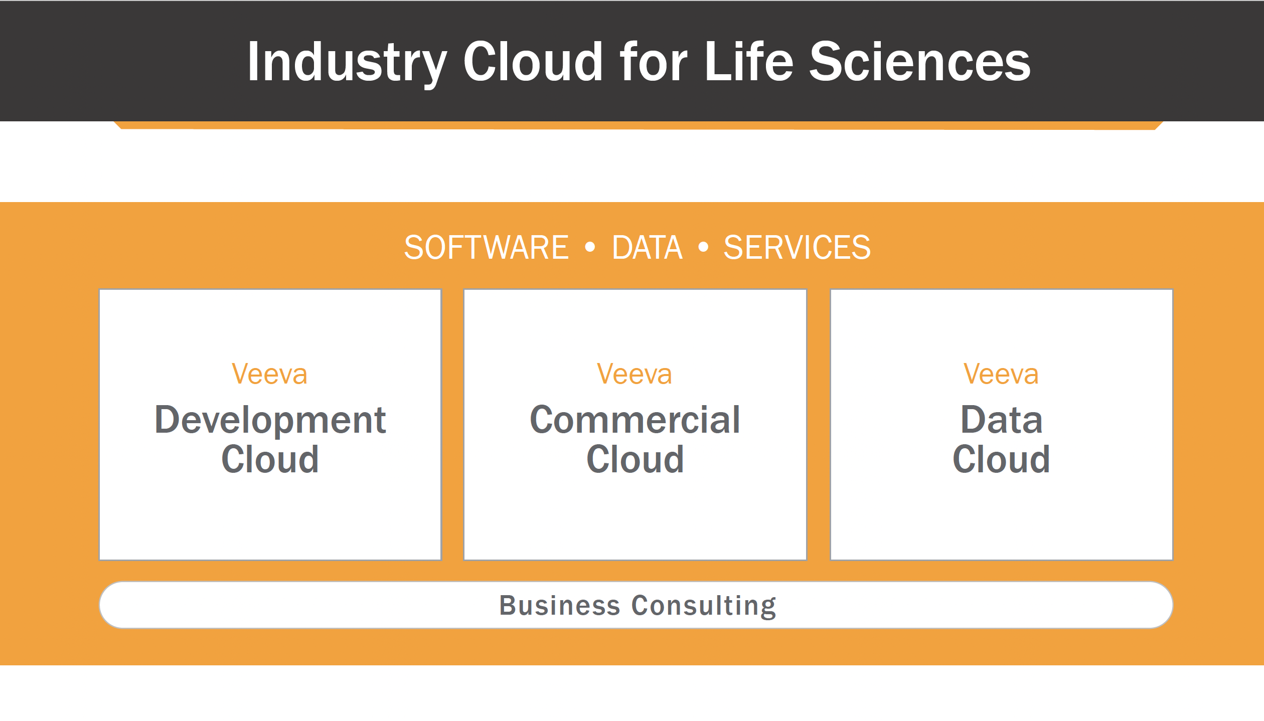 Veeva Systems: A Vertical SaaS Champion - by Chirag Modi