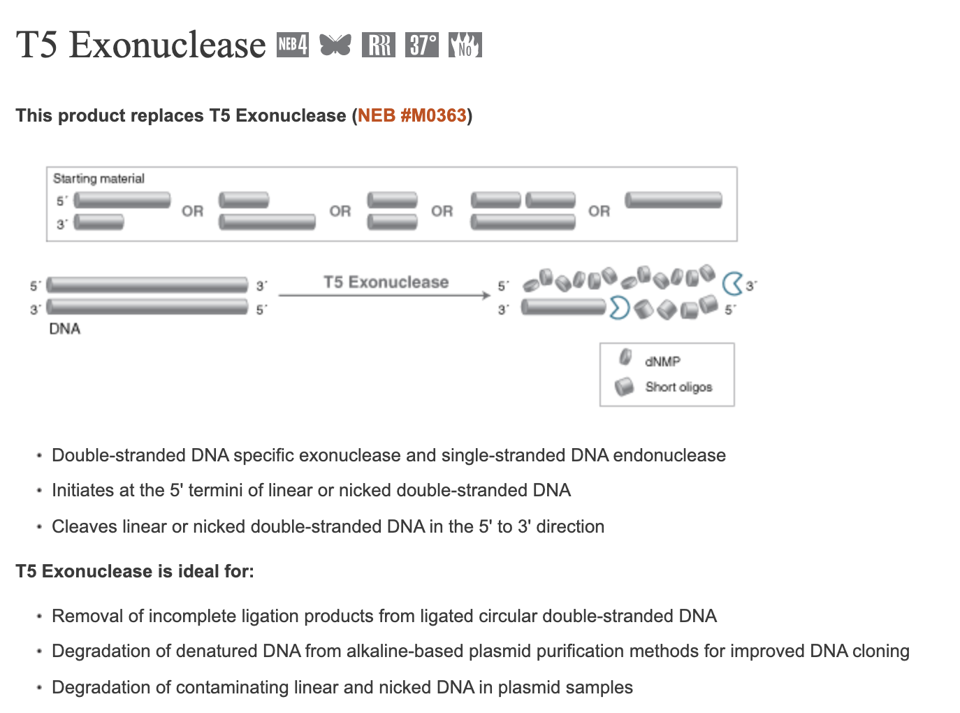 DNA-RNA hybrids, R-Loops and nuclease resistance of the mRNA vaccines